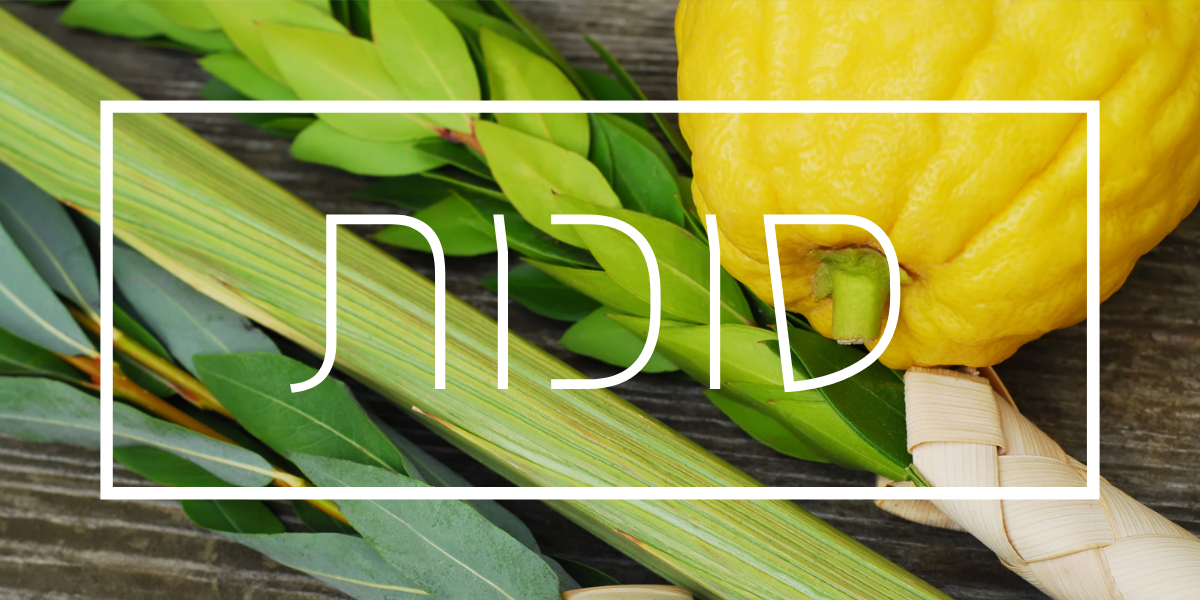 Sukkòt. La sukkà della pace - Morashà